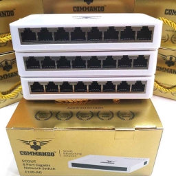 E100 Series Switches