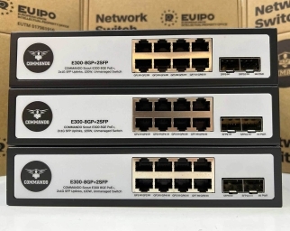 E300 Series Switches